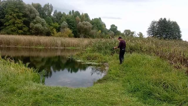 Влог