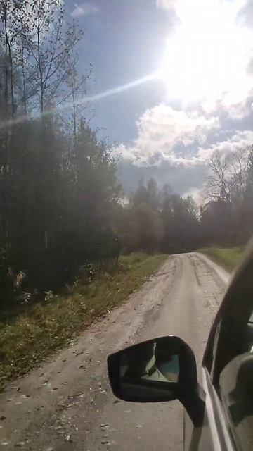 Путешествия