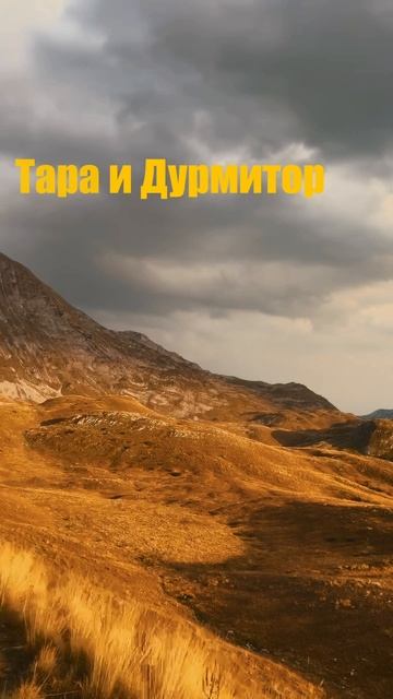 Автотуры