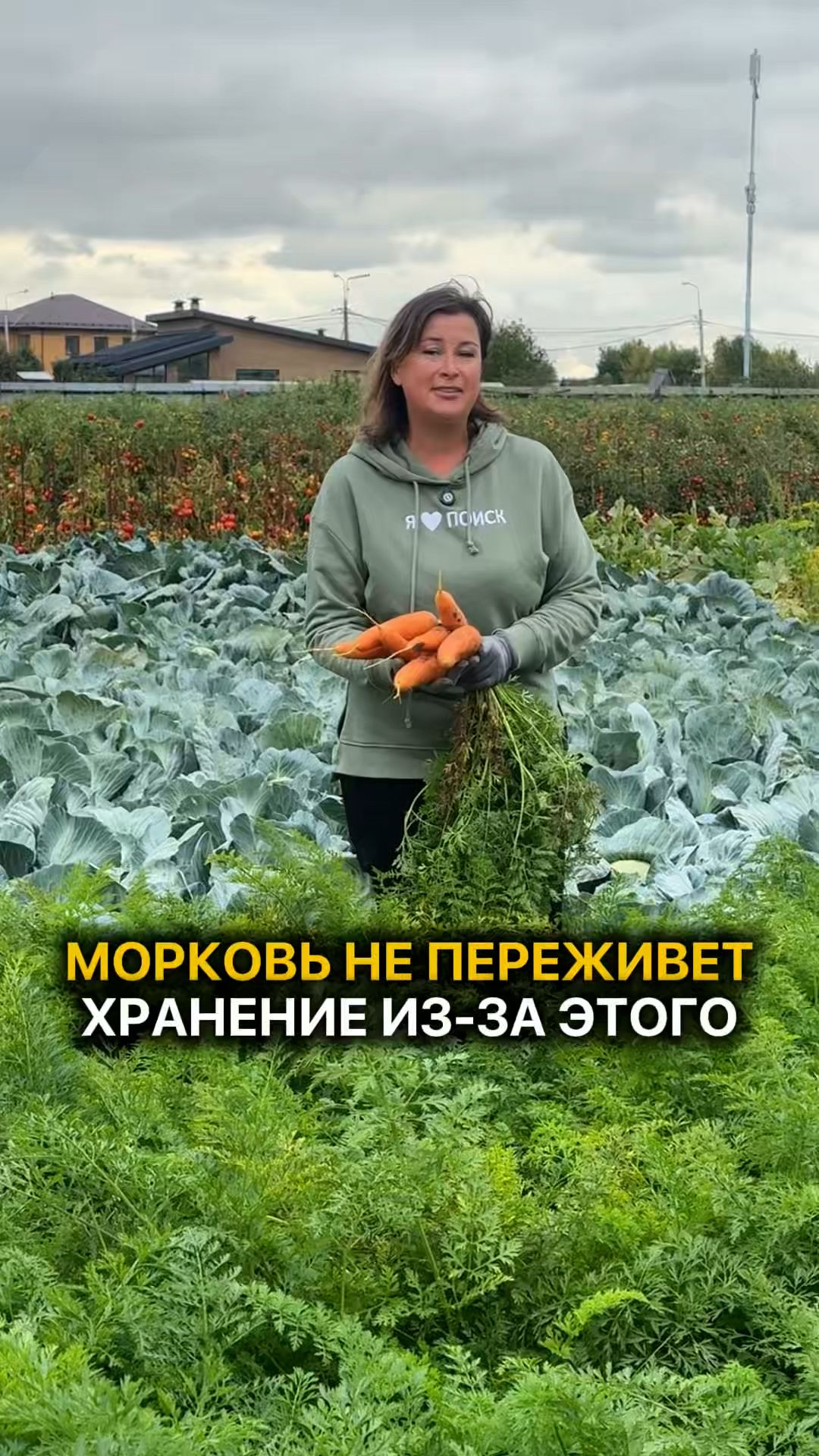Морковь