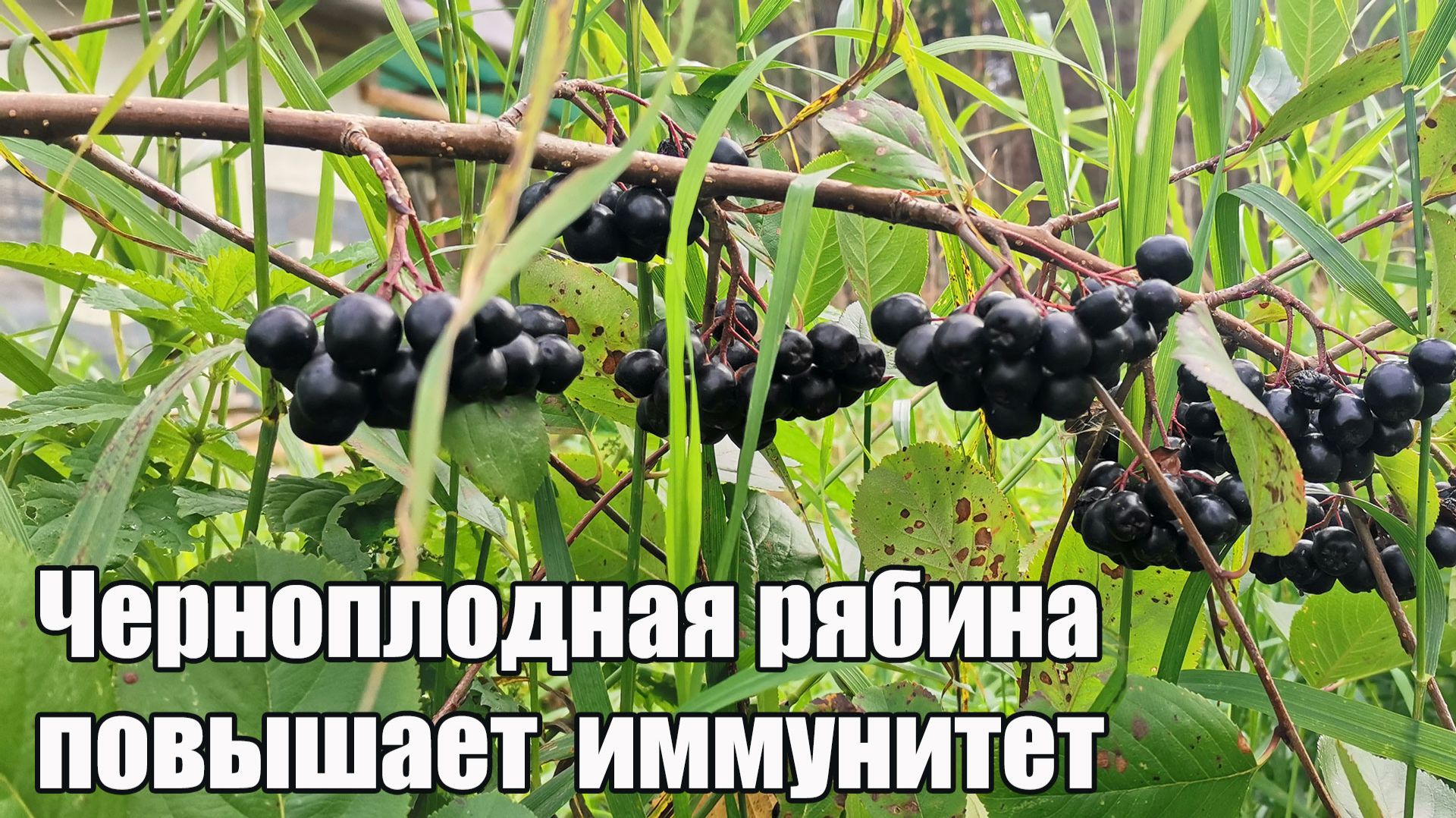 Полезности и лайфаки