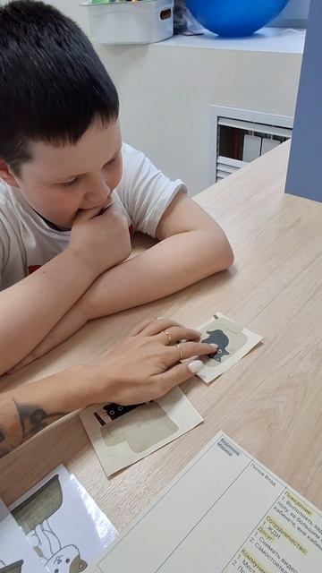 Попов Влад