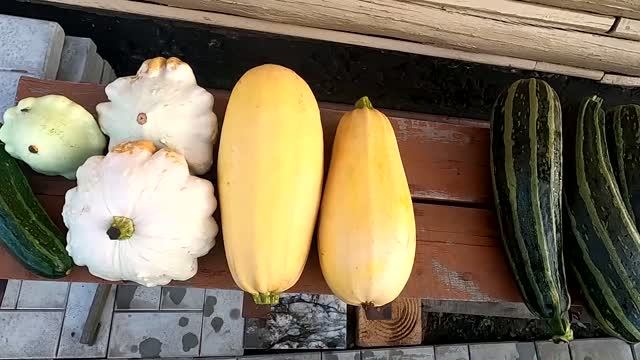 кабачки