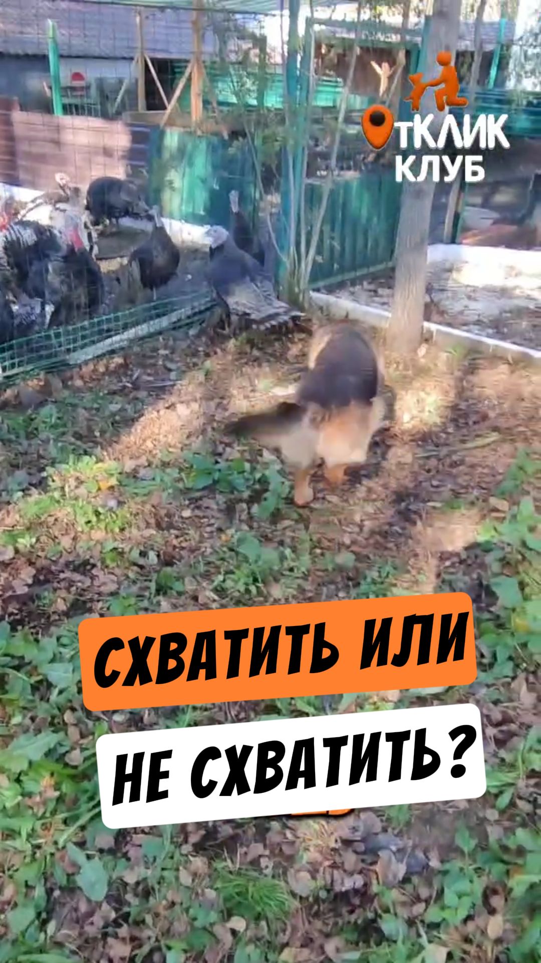 Наш ОтКлик