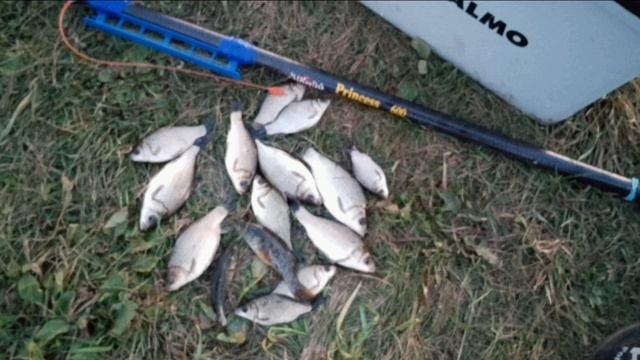 Ловля Карася на Боковой кивок на мормышку🎣