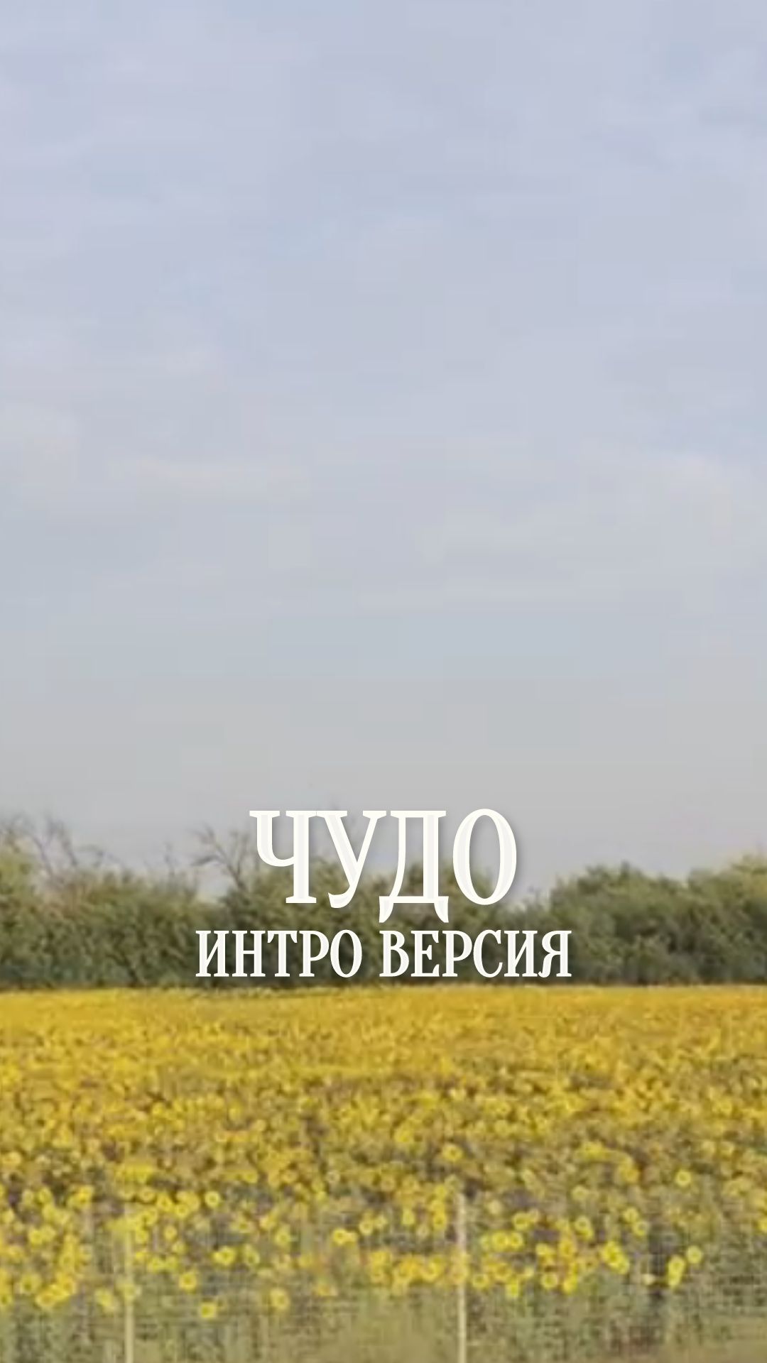 Отрывки песен