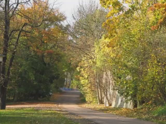 Просто песни, что мне нравятся