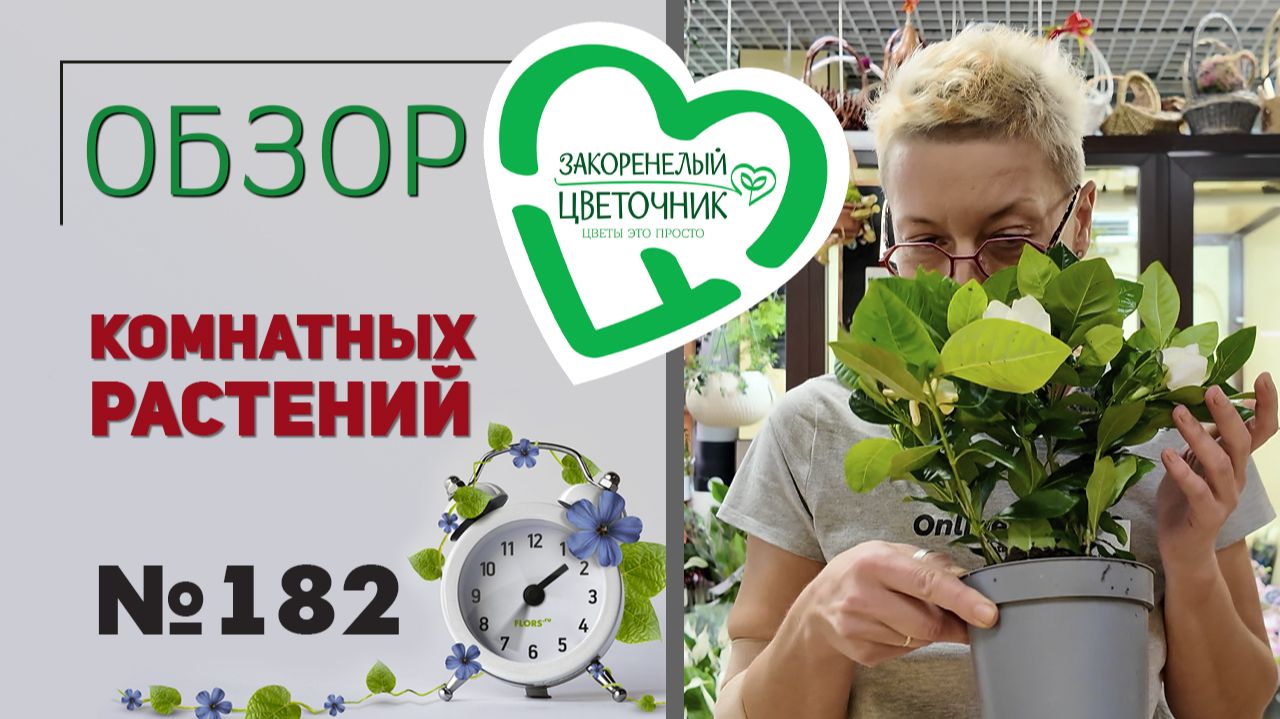 Обзор растений. Поставки в магазин. Новинки и сезонные.