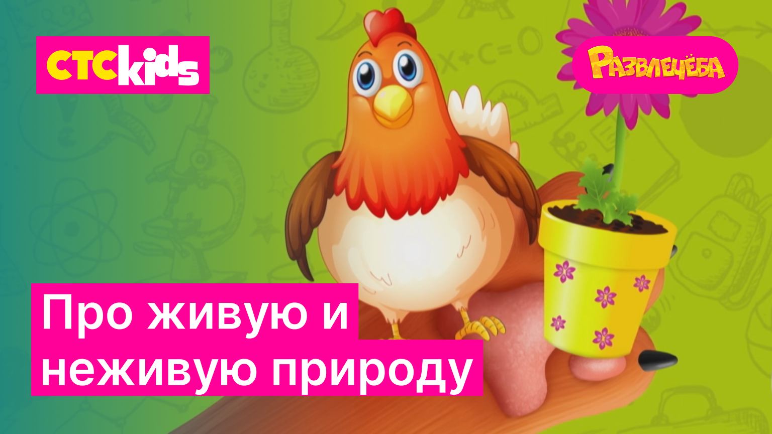 Развлечёба. Окружающий мир