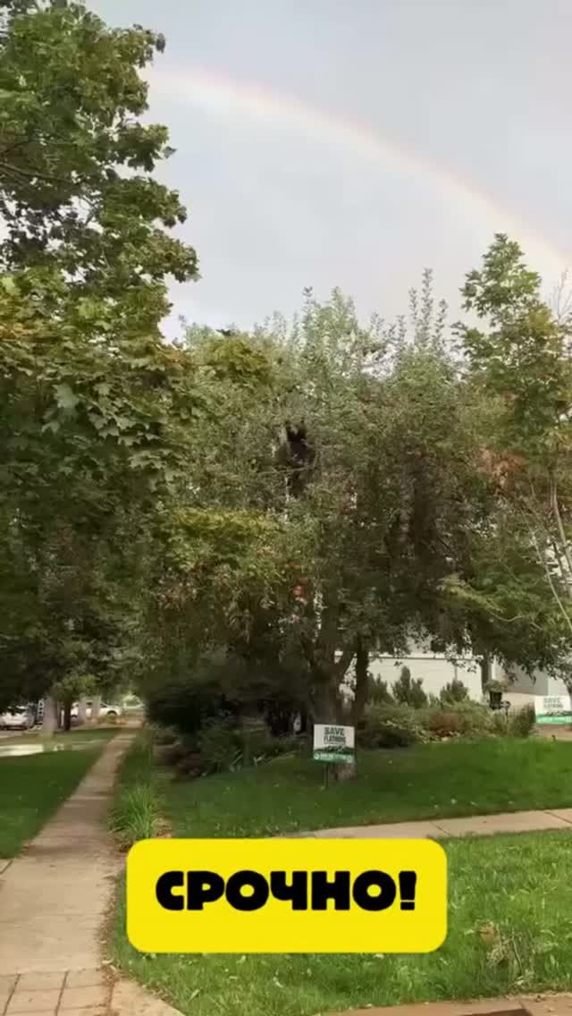 Веселые животные