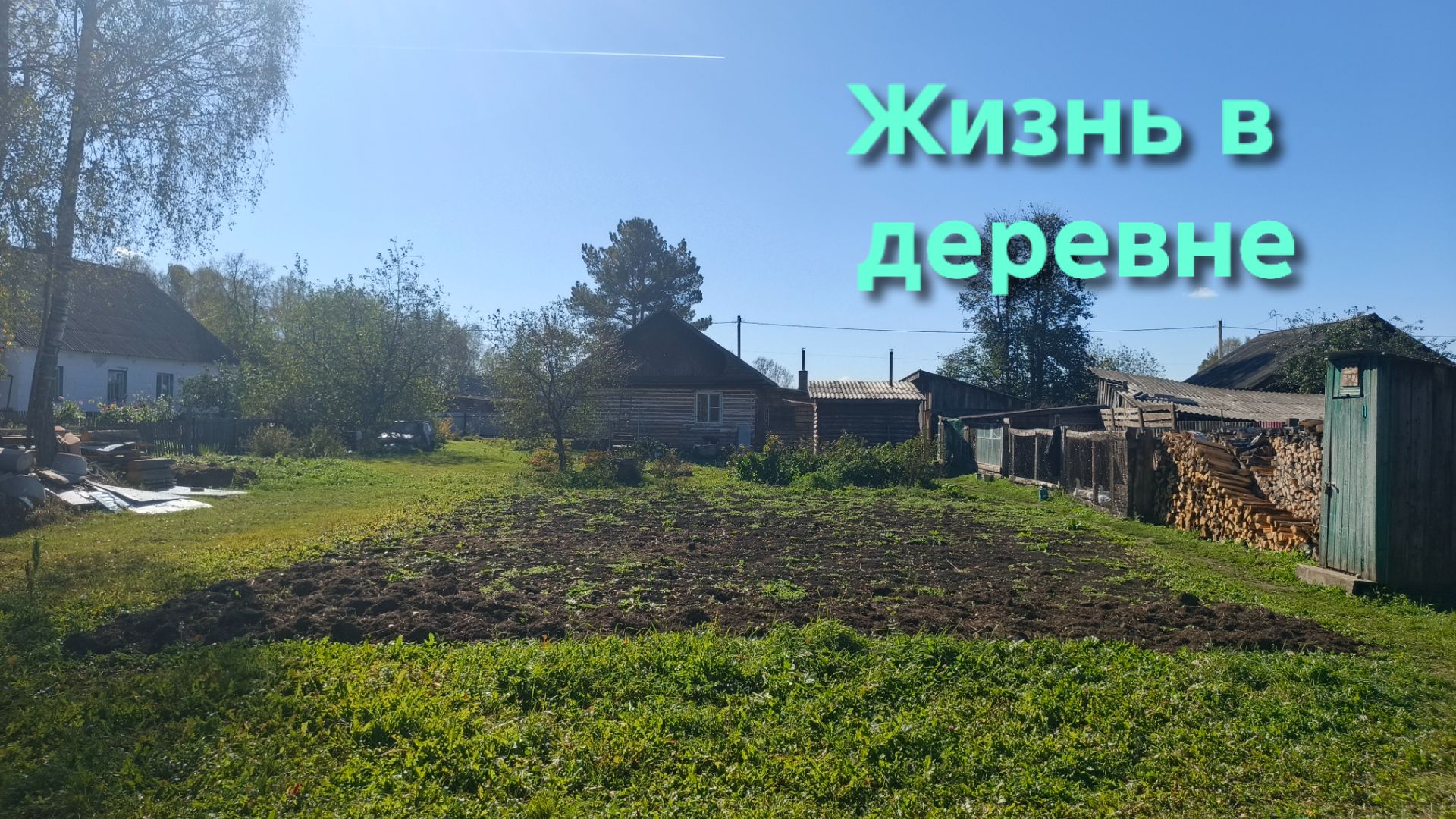 Утки и их содержание
