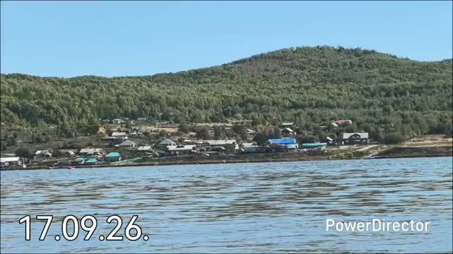 2026 год