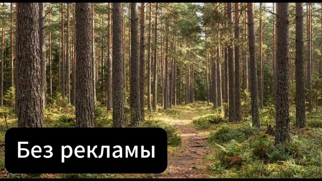 Фоновая музыка