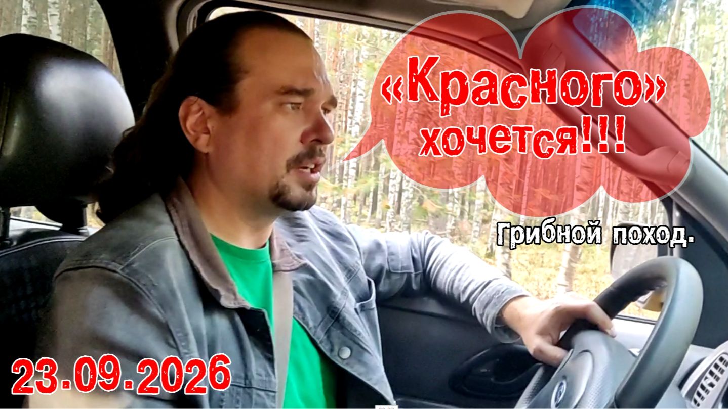 Грибная охота.