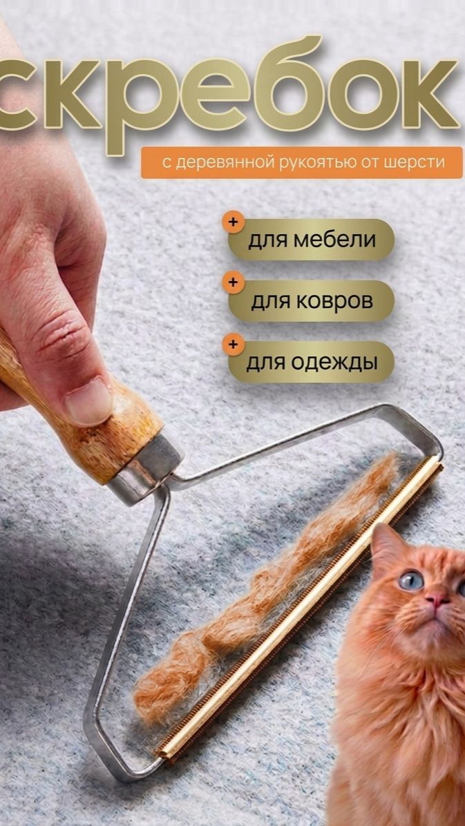 КОРОТКИЕ ВИДЕО