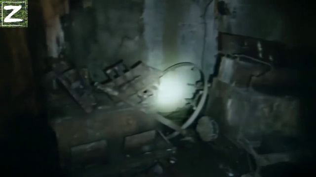 Док/фильм