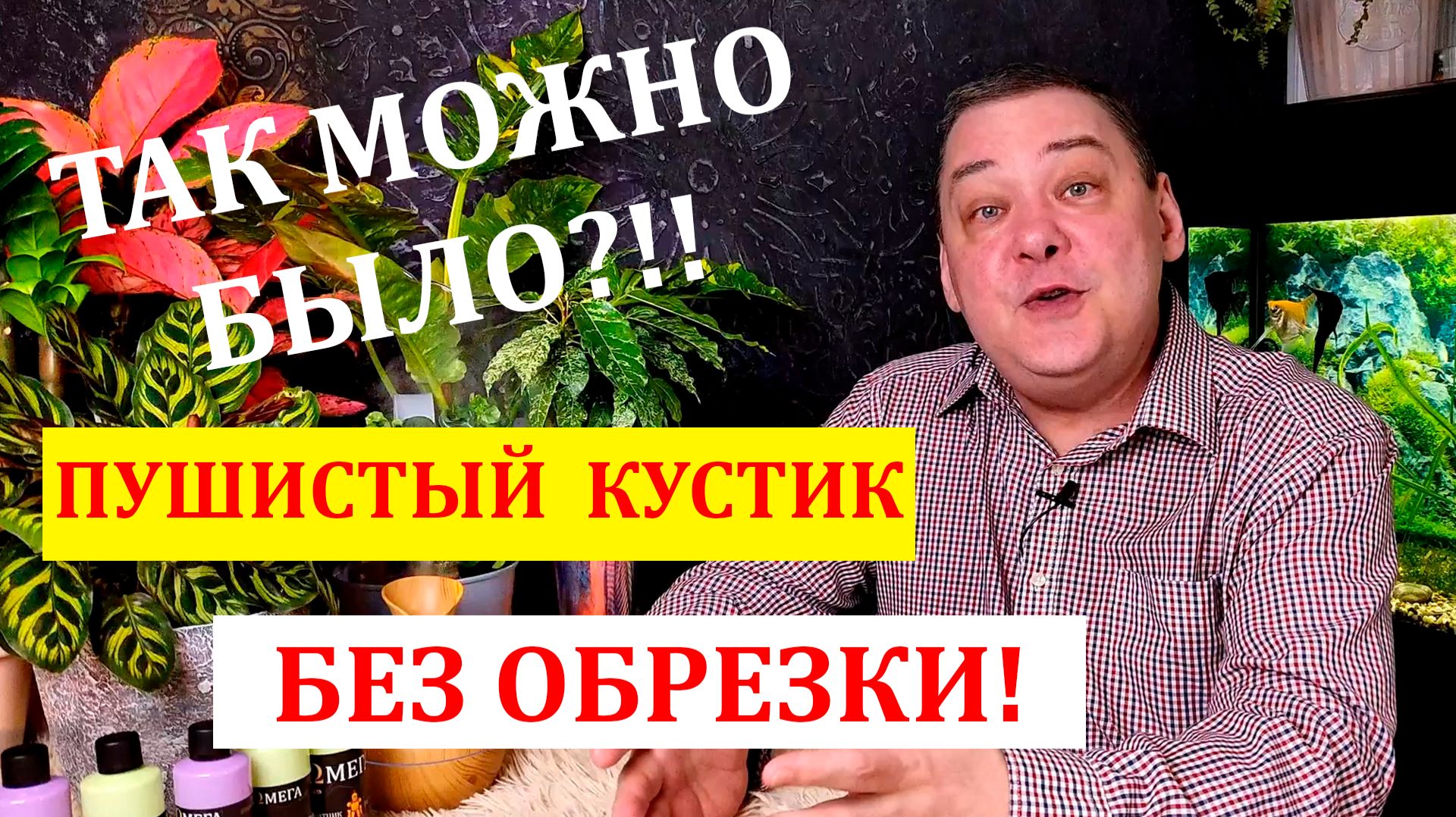Освещение для растений