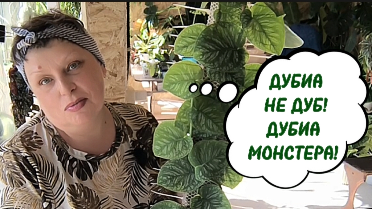 Монстеры и филодендроны