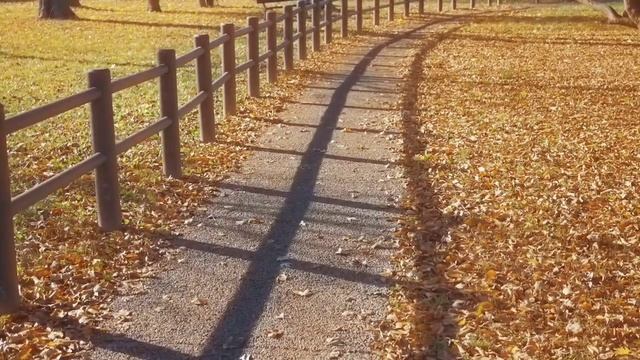 Инструментал