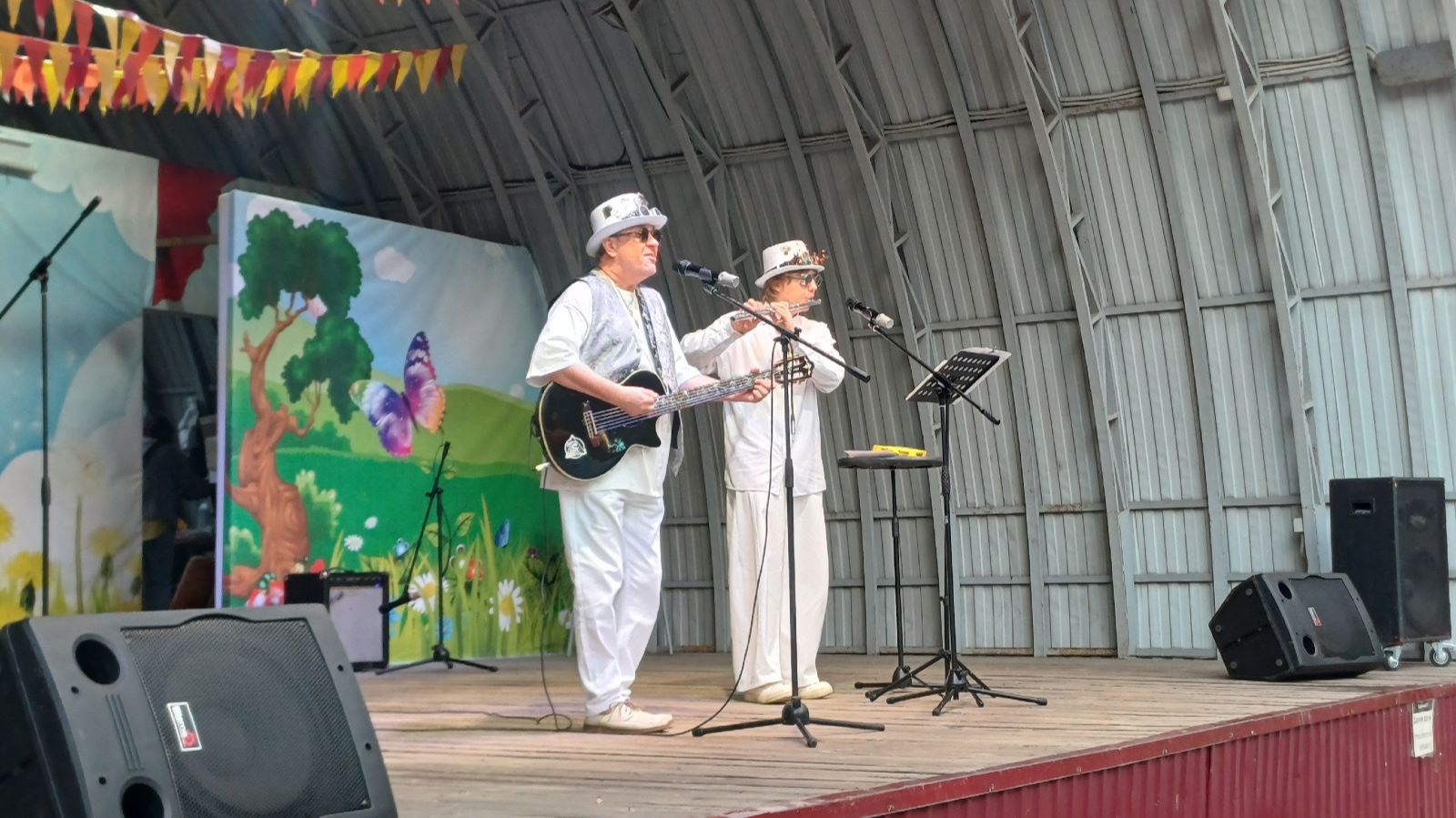 Акустический дуэт ″Доктор Вольф″