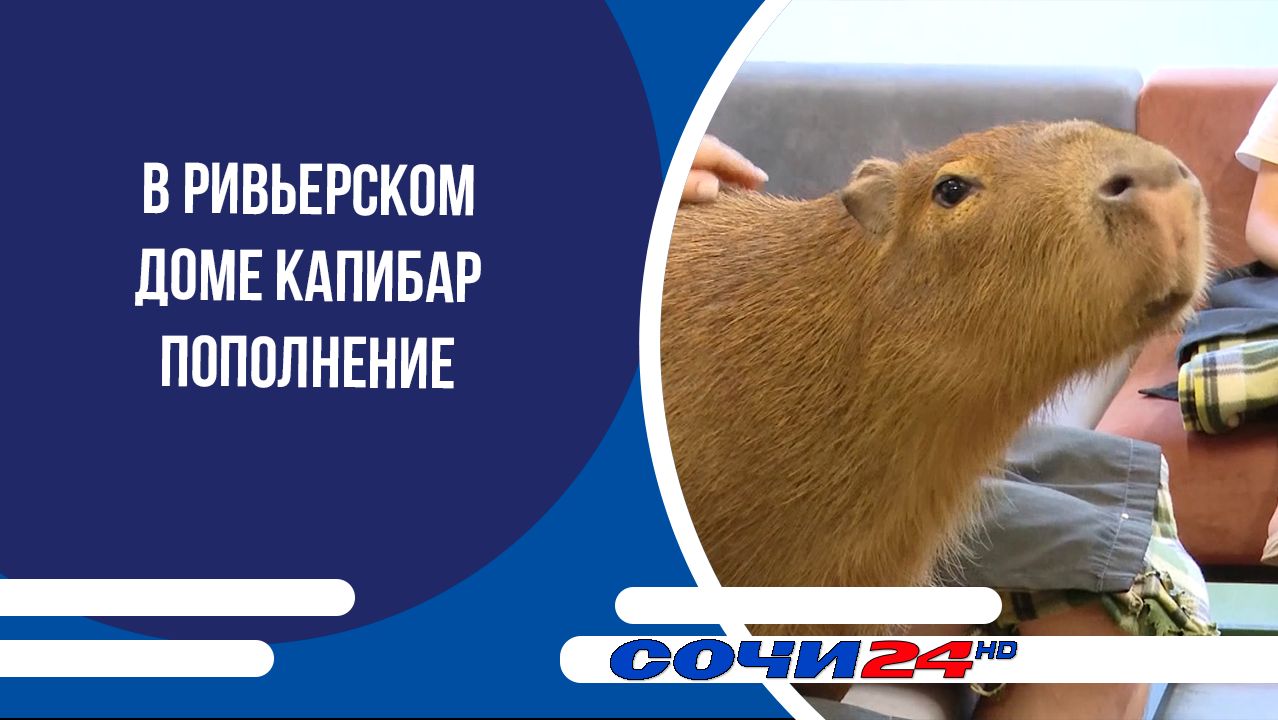 НОВОСТИ АКТУАЛЬНОЕ