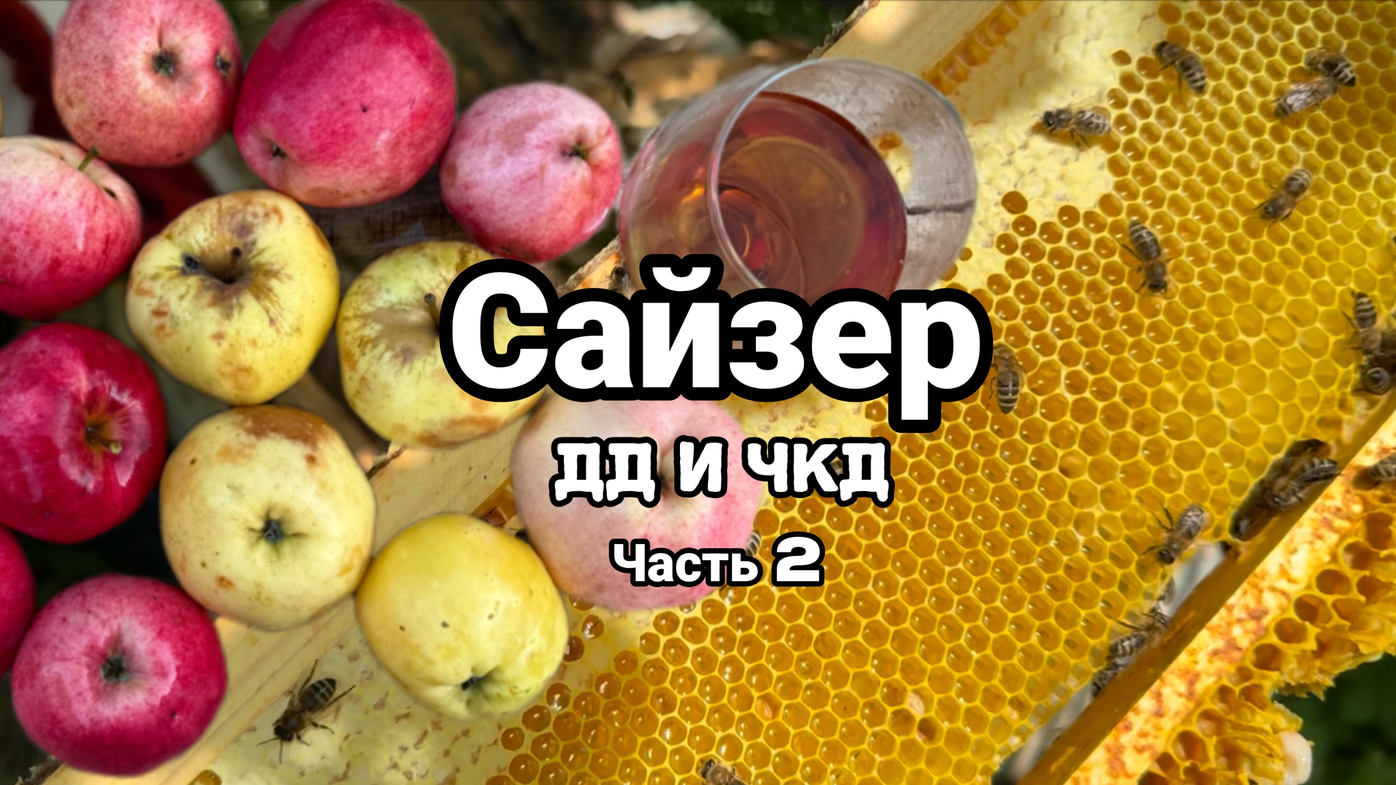 Сидры и яблочные вина