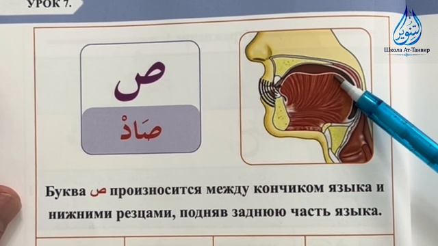 БЛОК №1 Рецитация Корана / Коран с нуля / Изучение Корана / Обучение Корану / Муаллим Сани