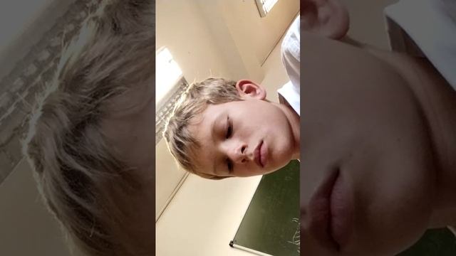 Трансы