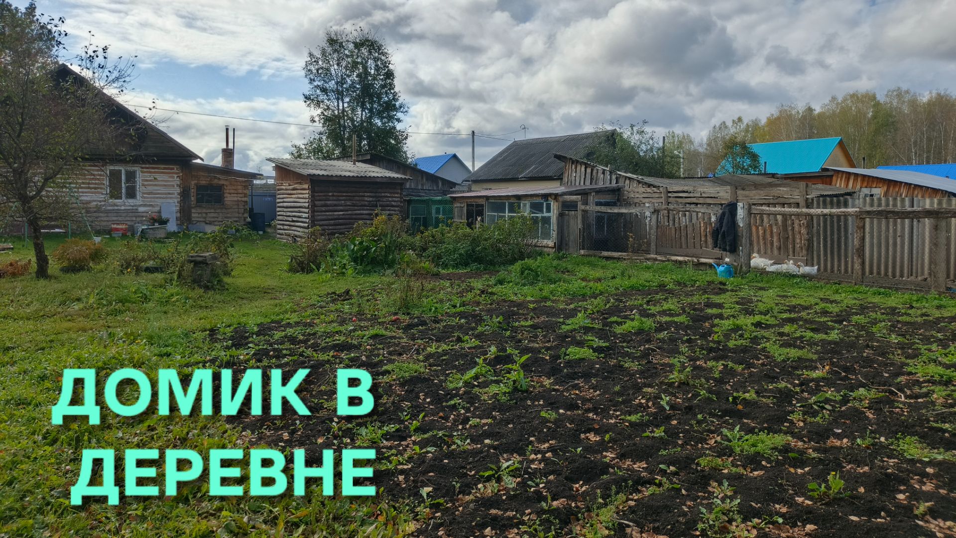 Деревенские будни