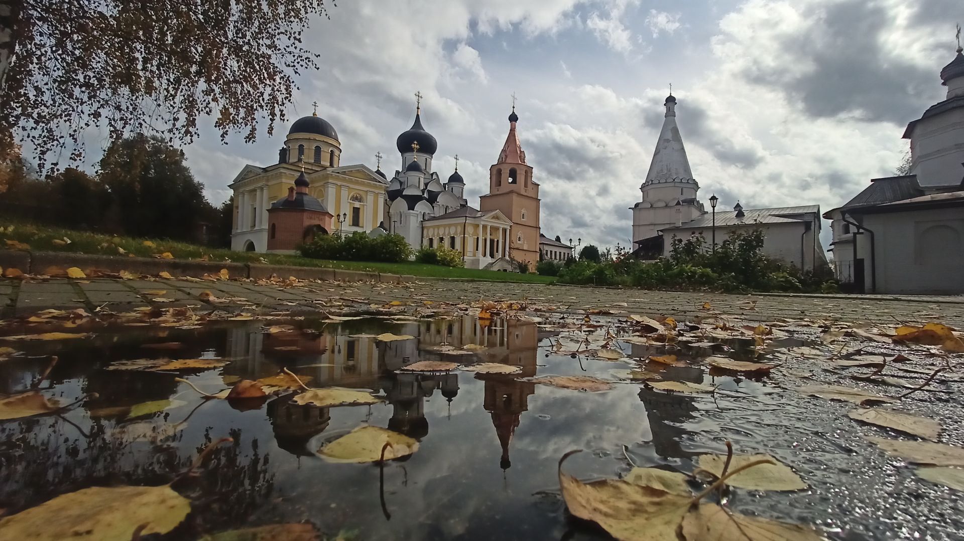 Мир природы