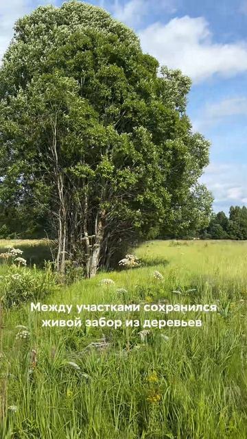 КП Вуоксаари