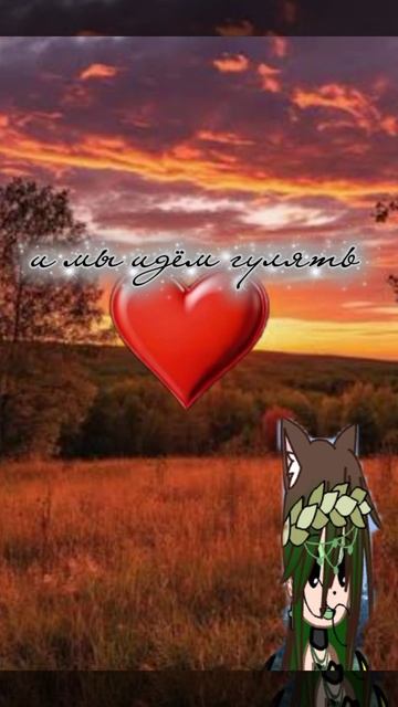 Видео с моей ос