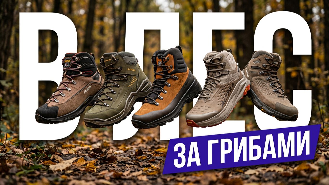 Туризм