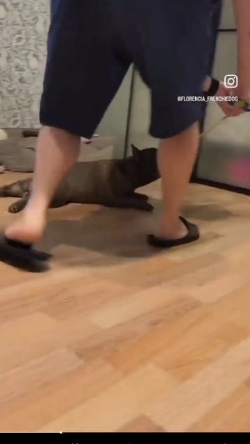 Юмор.