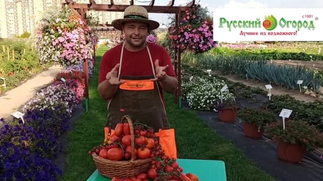 Лекции и практические рекомендации