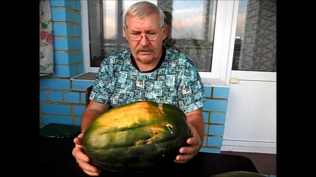 тыква