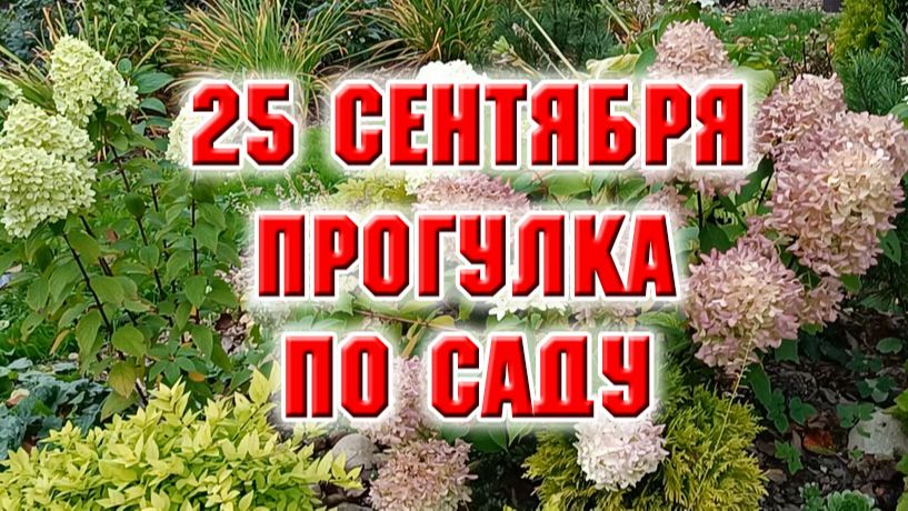 Любимая дача