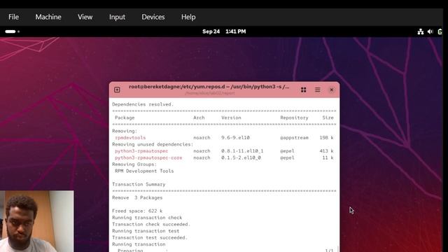 Лабораторная работа № 4. Работа с программными пакетами