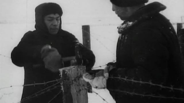 Наука и война
