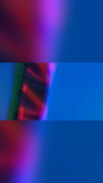 R - Shorts [Official]