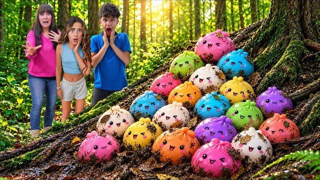 Развлечения