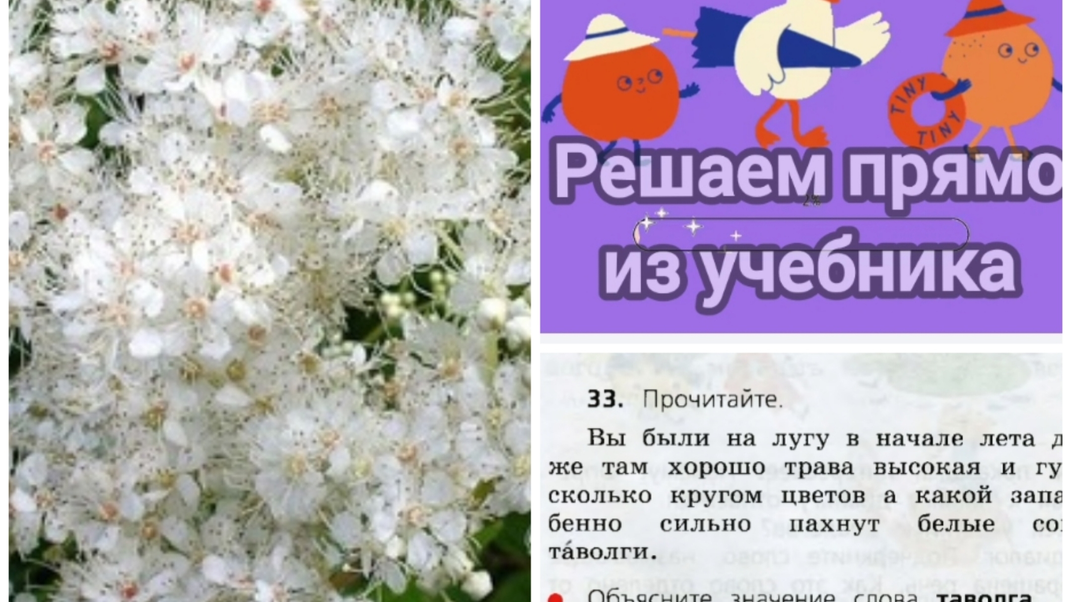 Русский язык