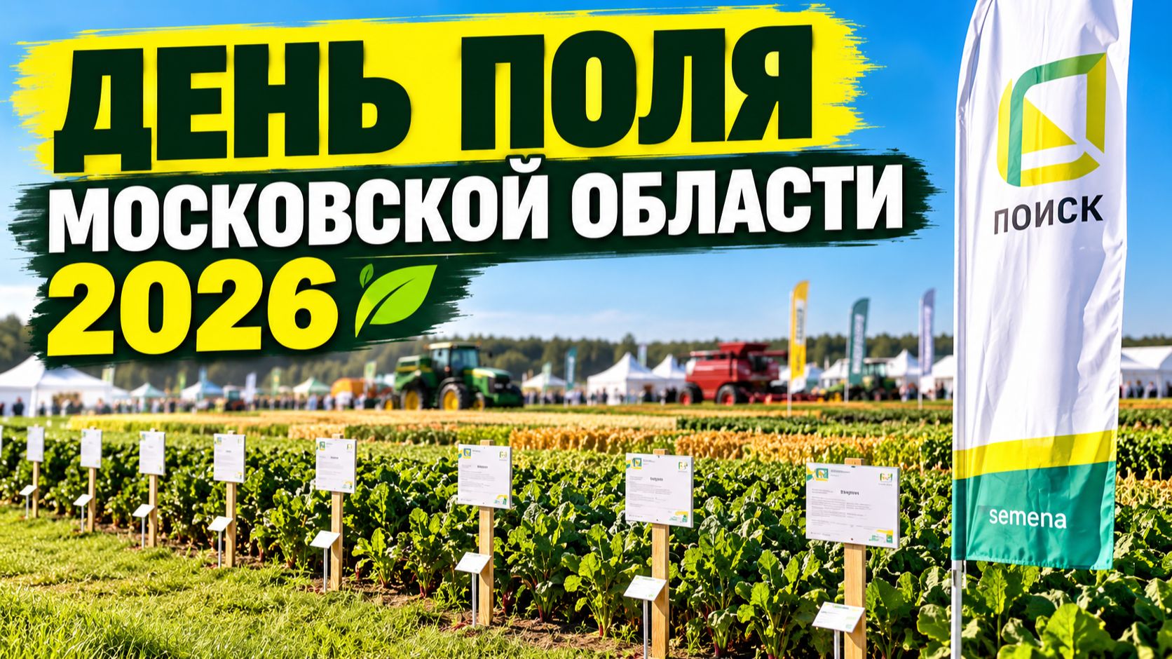 Капуста
