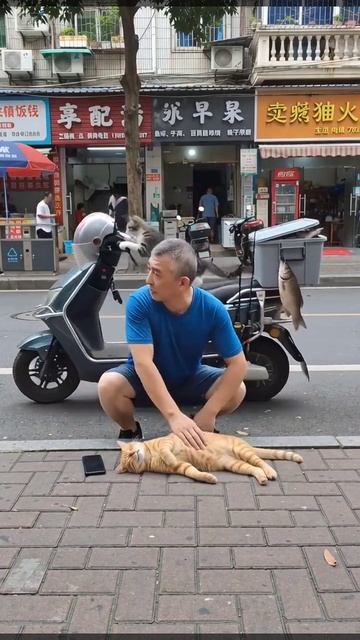 Кошачий Синдикат: Бандитские Лапки 🕶️ Кланы