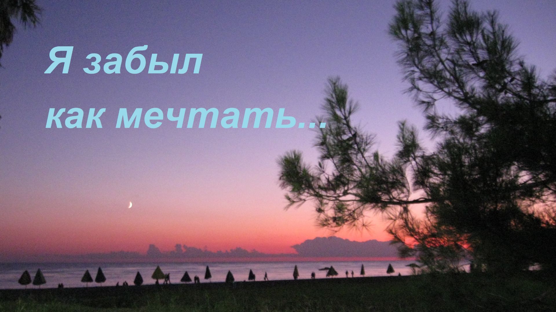 Песни