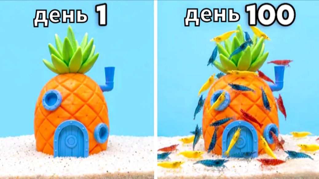 MrTank