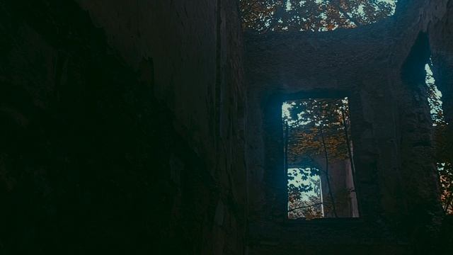 Ambient