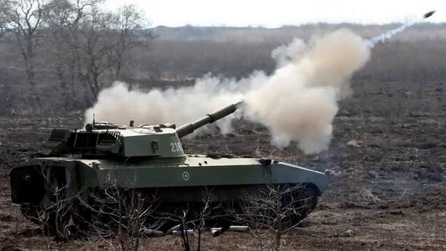 Артиллерия, ПТ САУ и ЗСАУ.