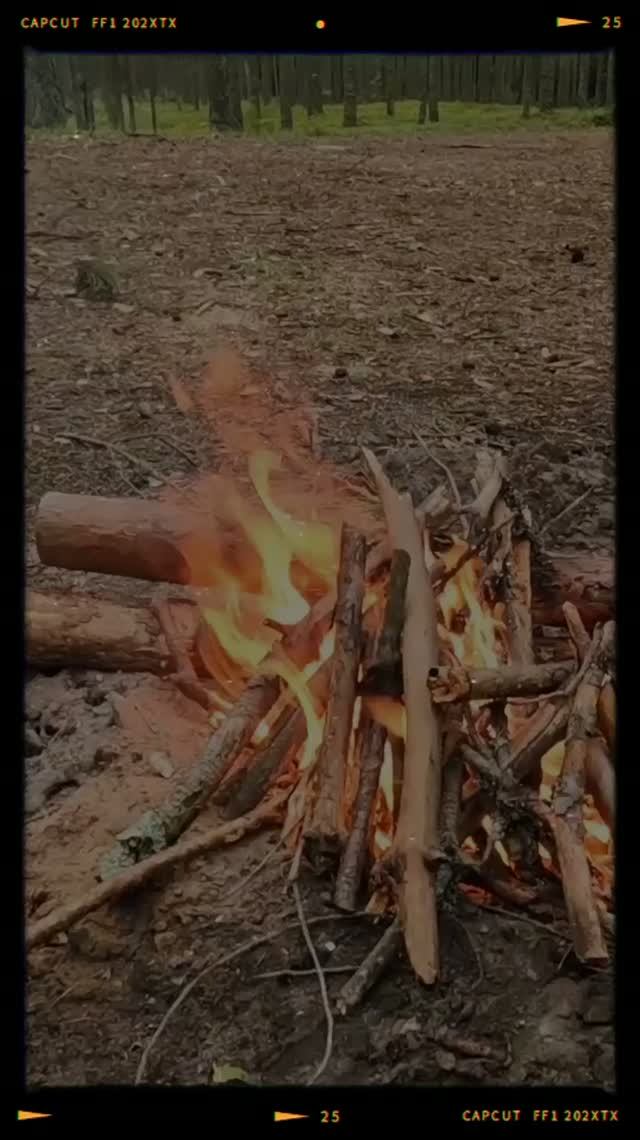 ПОХОД