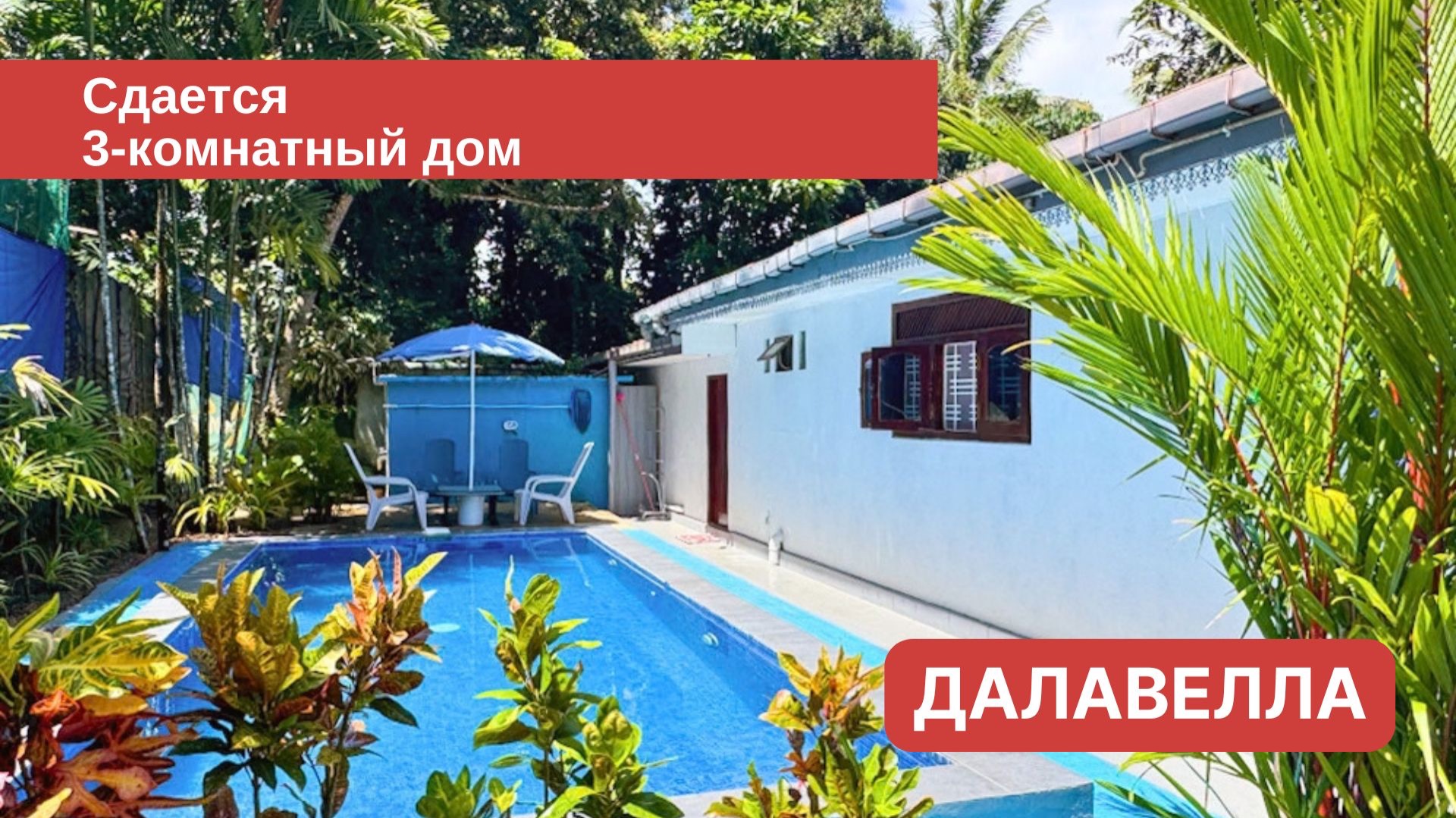 Аренда жилья